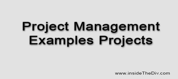 Project Management Examples Projects